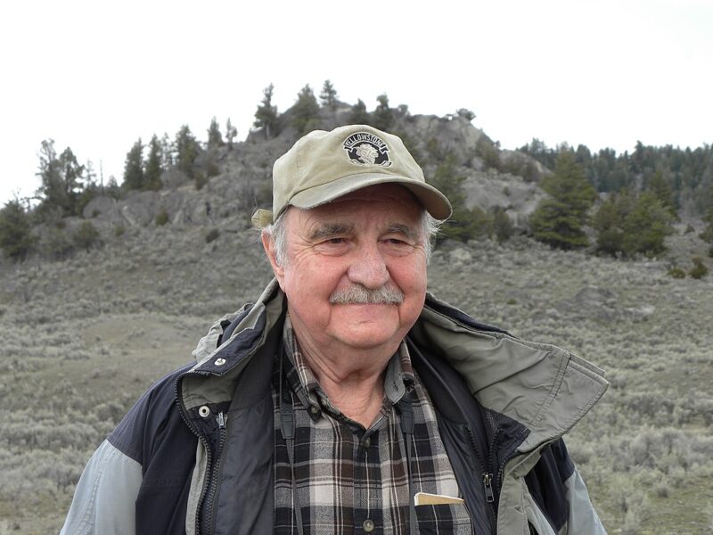 Autocorreção da ciência: como David Mech desfez o conceito de “lobo ...